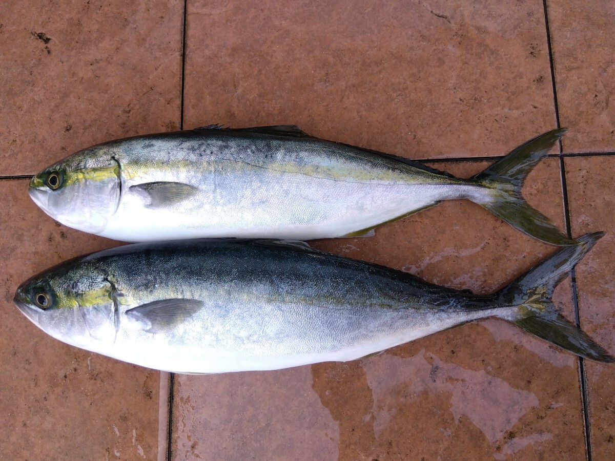 Yahoo!オークション - 撃投ジグ ストライク 65g 10 ピンクグロー2個