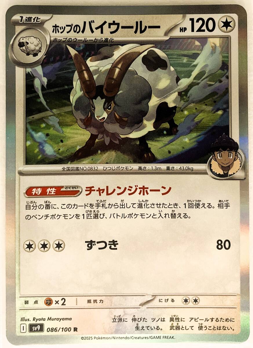 Yahoo!オークション - No.2-01782 SV9 086/100 ホップのバイウールー R...