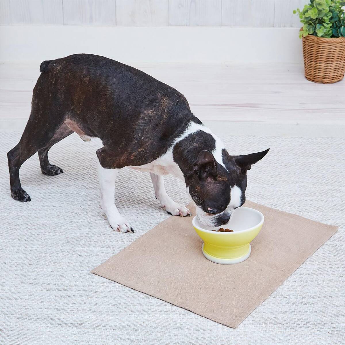 Yahoo!オークション - ペティオ (Petio) 犬用食器 Porta 脚付き食器 S