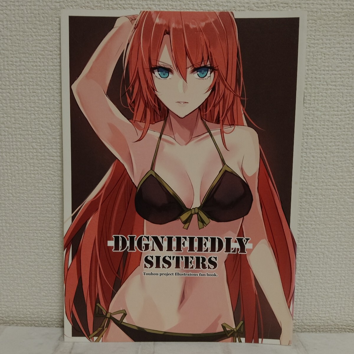 Yahoo!オークション - A76 男性向 一般 同人誌 DIGNIFIEDLY SISTERS