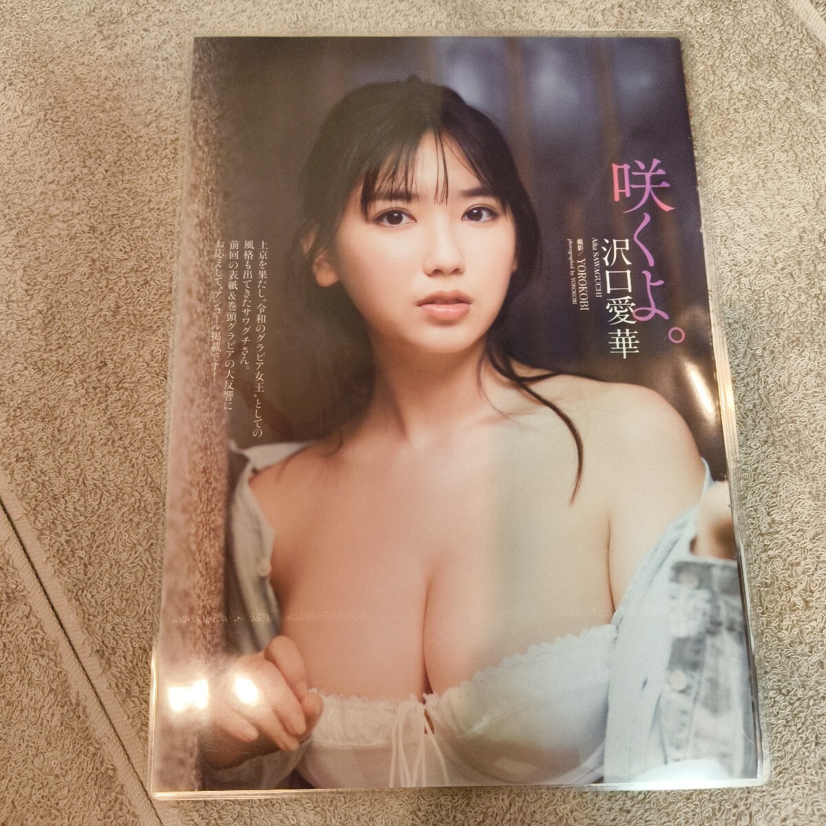 Yahoo!オークション - 【ラミネート厚手150μ グラビア切り抜き】週刊...