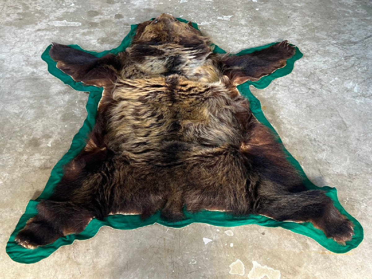 熊の敷物 クマ 毛皮 剥製 絨毯 ラグマット 全長約195cm 頭 爪付(ラグ一般)｜売買されたオークション情報、yahooの商品情報をアーカイブ公開 - オークファン（aucfan.com）