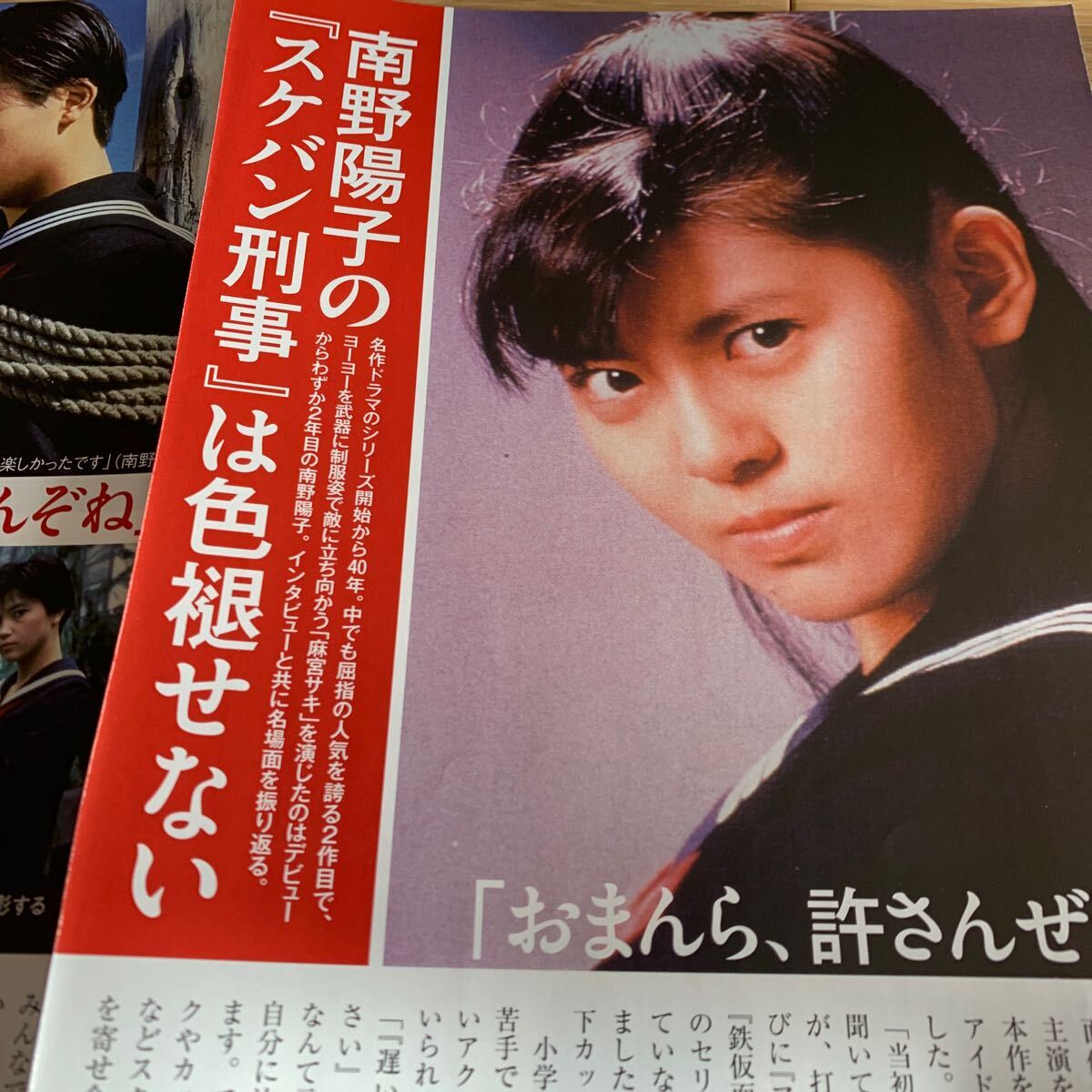 Yahoo!オークション - P32-2 スケバン刑事 南野陽子 切り抜き4ページ+...