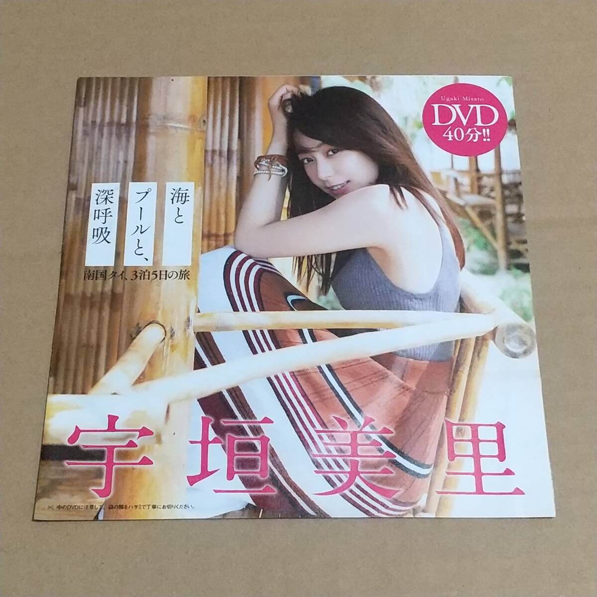 未開封 プレイボーイ 付録 DVD 宇垣美里 :: Yahoo!Auction｜DEJAPAN - Bid and Buy Japan with 0% commission