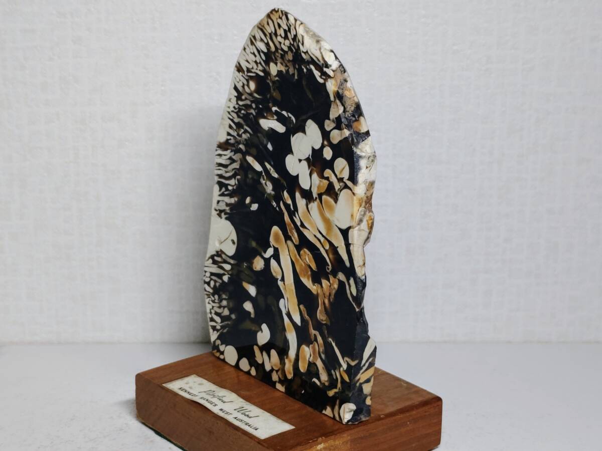 Yahoo!オークション - 【木化石】 385g 珪化木 ジャスパー オパール 原...