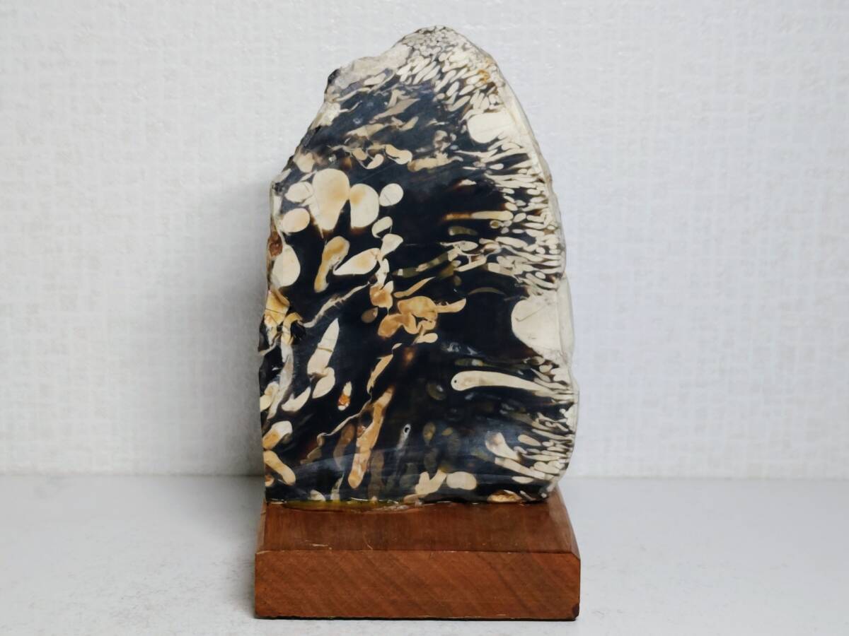 Yahoo!オークション - 【木化石】 385g 珪化木 ジャスパー オパール 原...