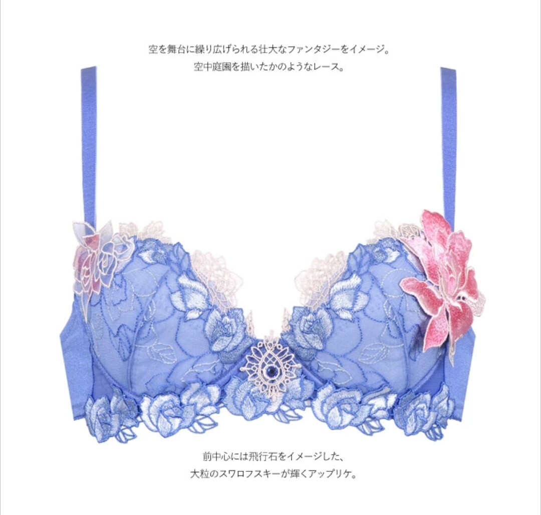 Yahoo!オークション - サルート76【天空の城ラピュタ】 D70+ショーツM...