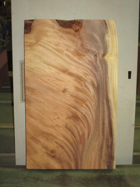 Yahoo!オークション - 106 モンキーポッド