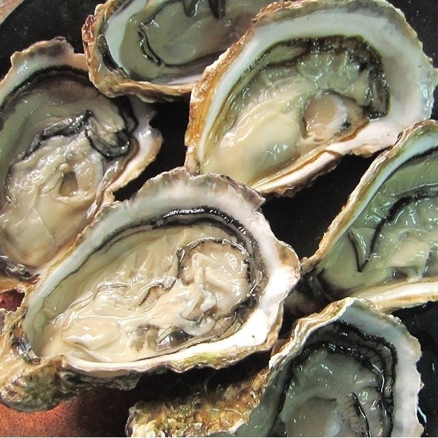 Yahoo!オークション - 3箱 生食用「特大 牡蠣3L-2kg」=トップシーズン...