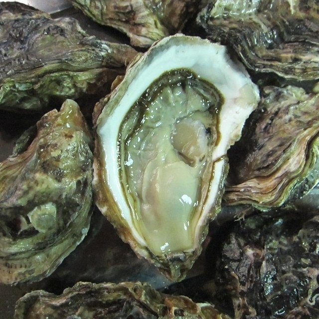 Yahoo!オークション - 3箱 生食用「特大 牡蠣3L-2kg」=トップシーズン...