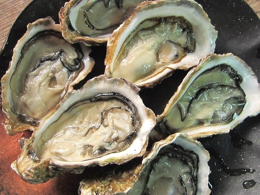 Yahoo!オークション - 2箱 生食用「特大 牡蠣3L-2kg」=トップシーズン...