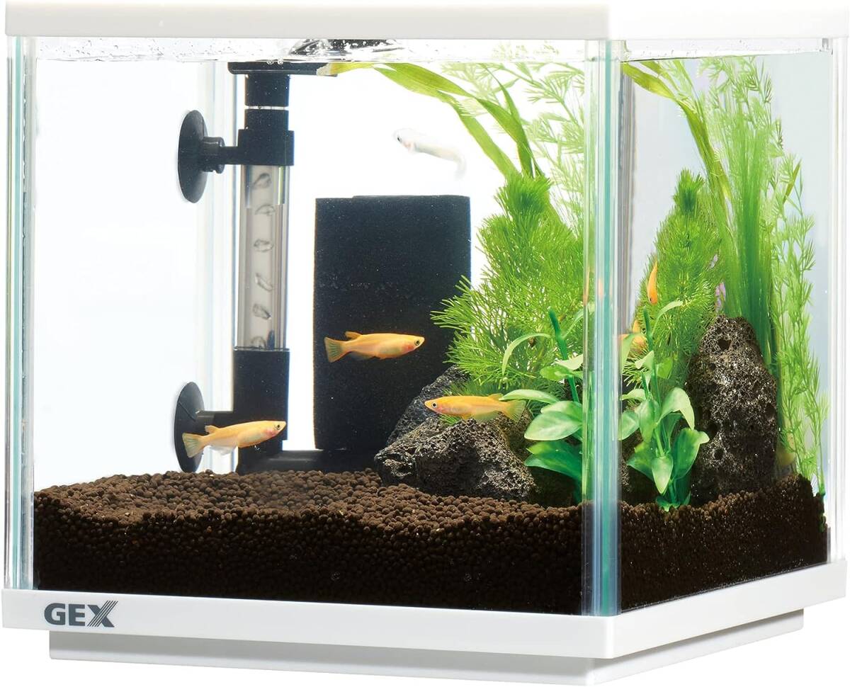 Yahoo!オークション - 送料無料 GEX メダカ元気 メダカのための水槽セ...