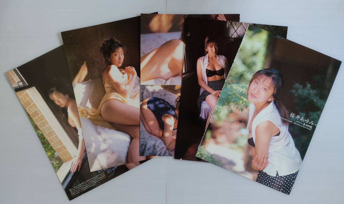 Yahoo!オークション - 桜井あゆみ 切り抜き 70ページ
