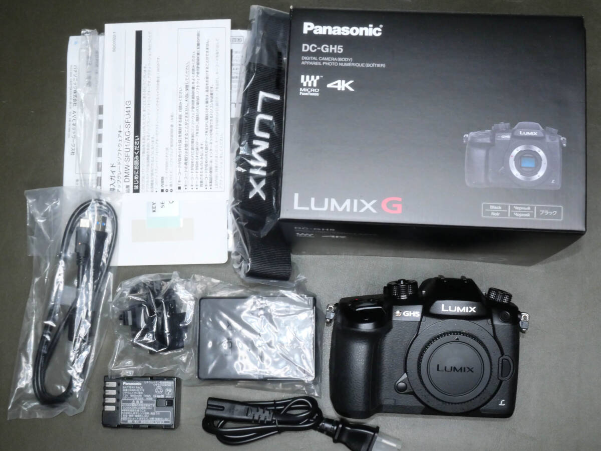 Panasonic パナソニック Lumix GH5 DC-GH5-K ボディ(パナソニック)｜売買されたオークション情報、yahooの商品情報をアーカイブ公開 - オークファン（aucfan ...