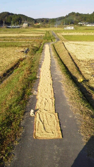 Yahoo!オークション - 自然栽培 薪火焙煎 青大豆きな粉 160g(80gX2袋...