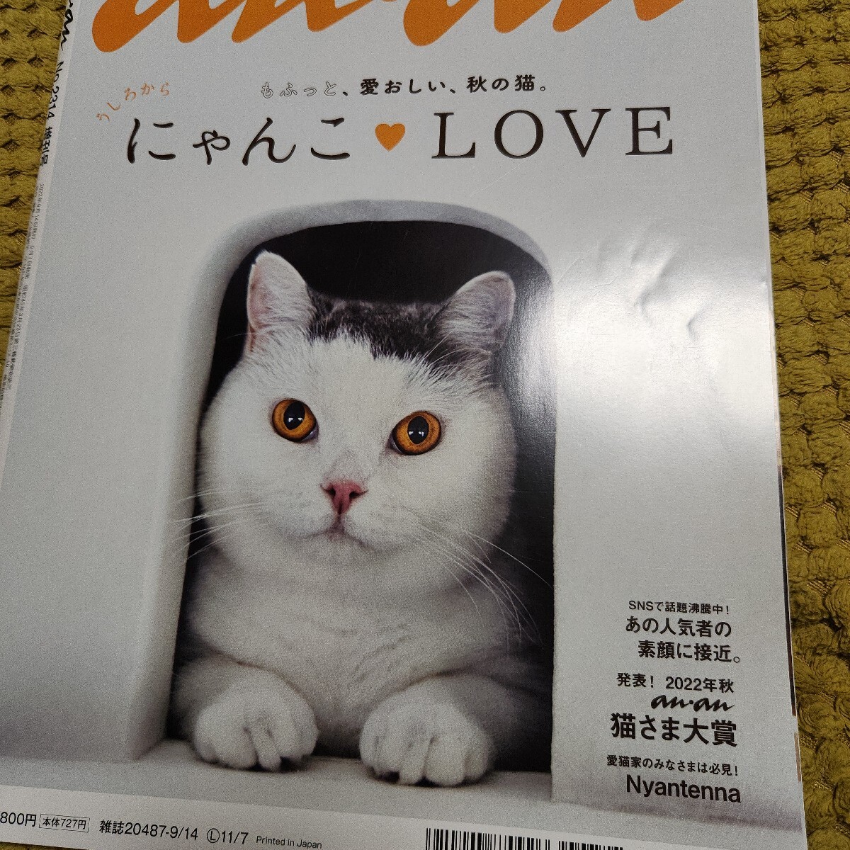 Yahoo!オークション - 「an・an」No.2314増刊号/ちいかわ 佐藤勝利 大...