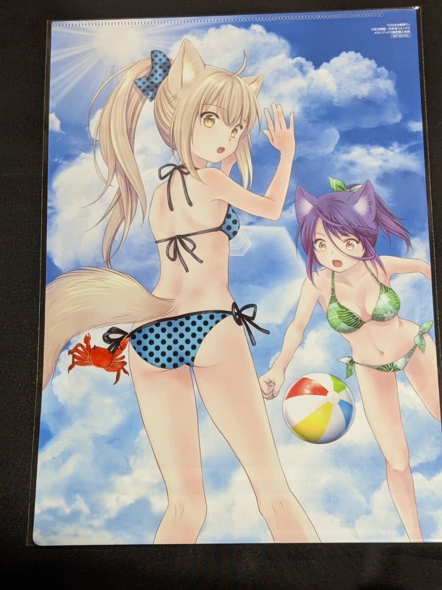 Yahoo!オークション - p077 クリアファイル このはな綺譚 天乃咲哉 11...