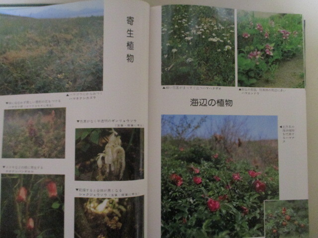 Yahoo!オークション - ND110/ 柏崎の植物 柏崎教育委員会 【付表(柏崎...