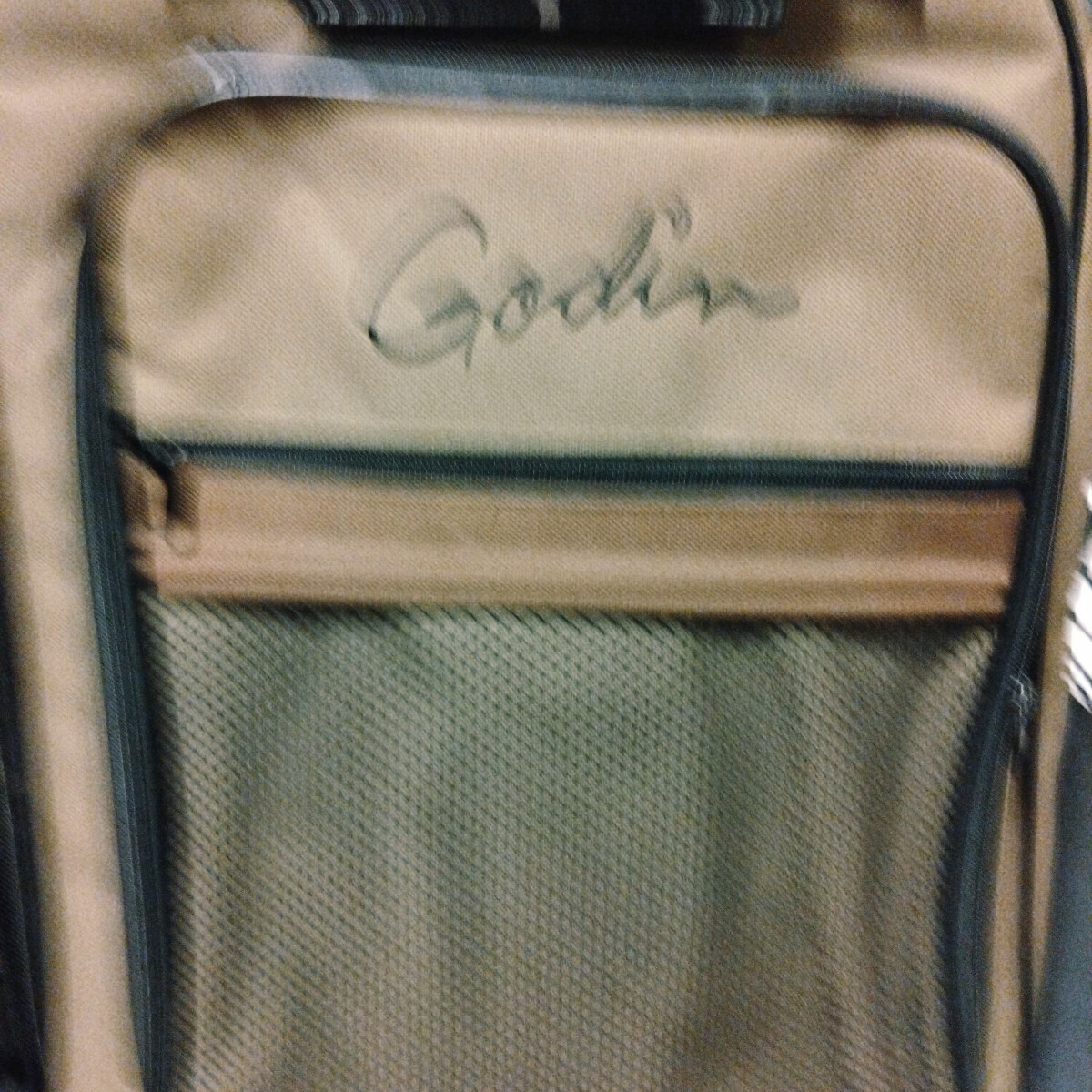 Yahoo!オークション - godin エレキギター テレキャスター アコーステ...