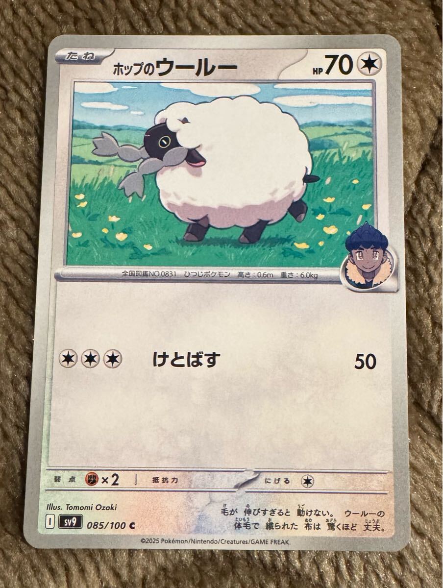 Yahoo!オークション - ポケモンカード ホップのウールー C（sv9 085/10...