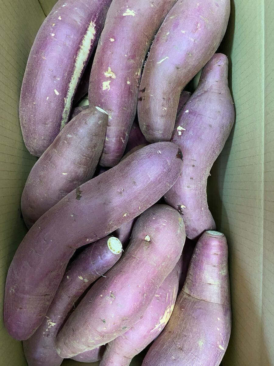 Yahoo!オークション - 紅はるか 10kg