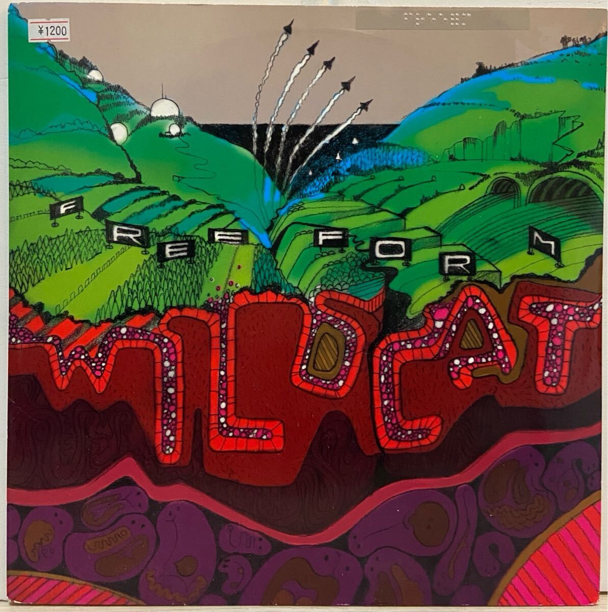 Yahoo!オークション - Freeform - Wildcat /Skam - SKA024