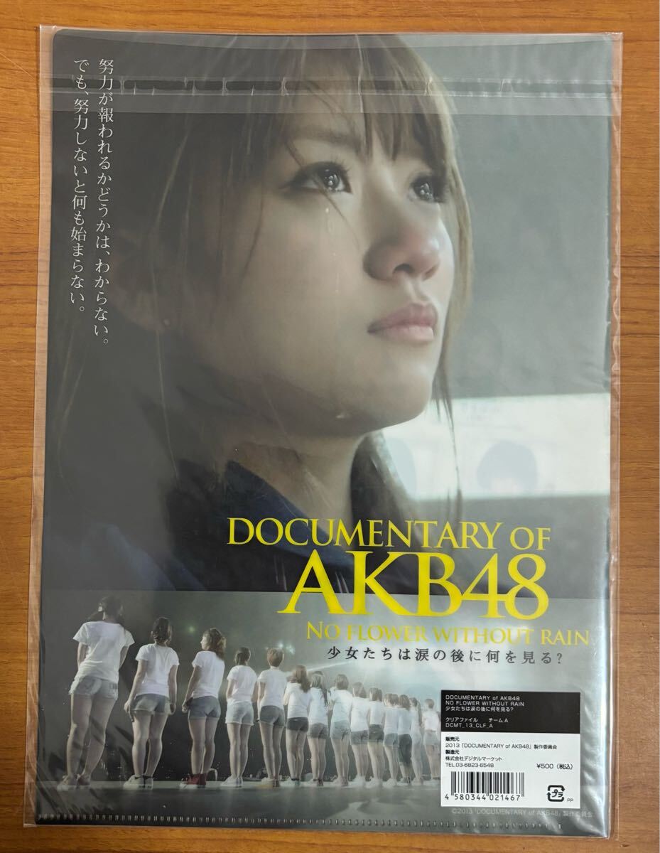 Yahoo!オークション - CF DOCUMENTARY of AKB48 NO FLOWER WITHOUT RAI...