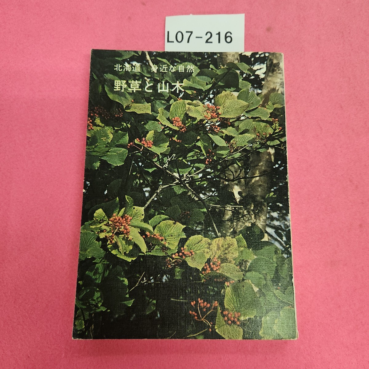 Yahoo!オークション - L07-216 北海道 身近な自然 野草と山木