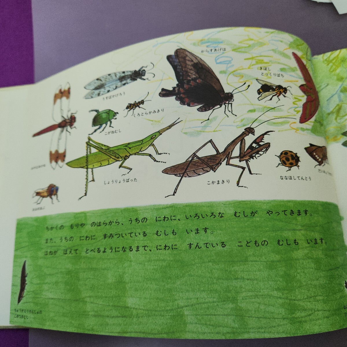 Yahoo!オークション - L08-327 もりのむしとのはらのむし