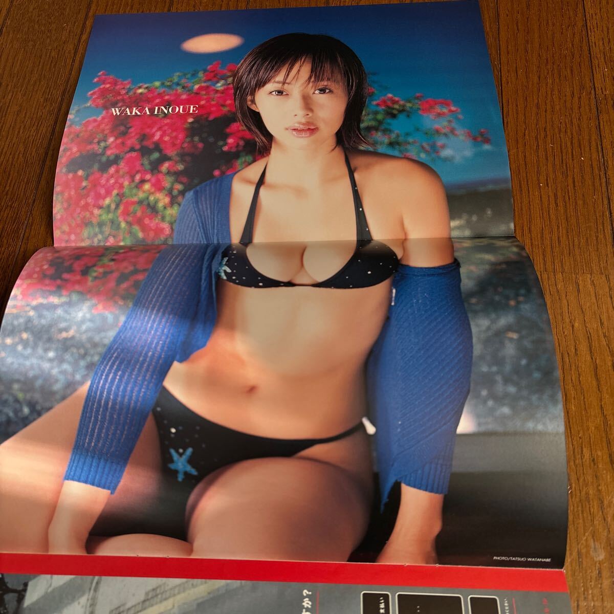 Yahoo!オークション - 井上和香 表紙1P&切り抜き9p