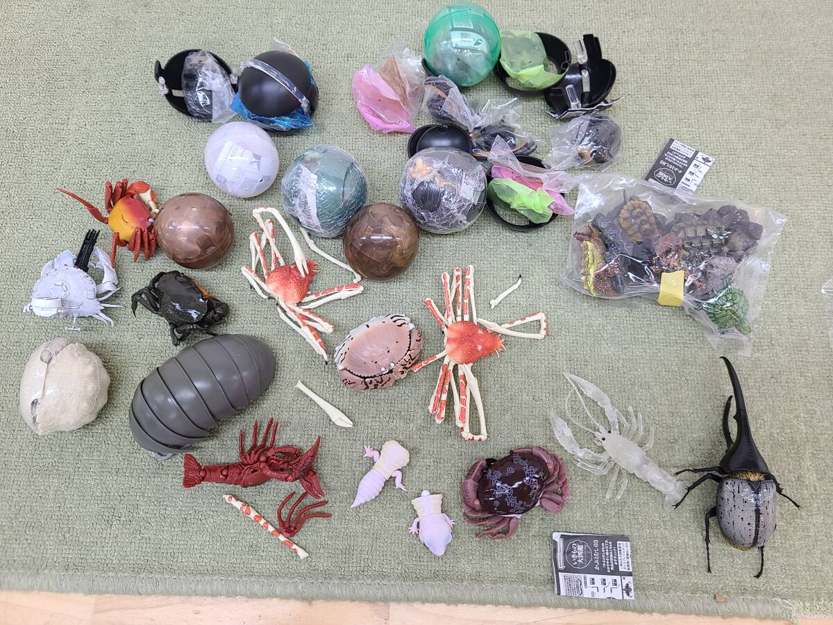 103-M07 現状品 いきもの大図鑑 その他 生き物 ガチャ フィギュア まとめ売り(生き物)｜売買されたオークション情報、yahooの商品情報をアーカイブ公開 - オークファン ...