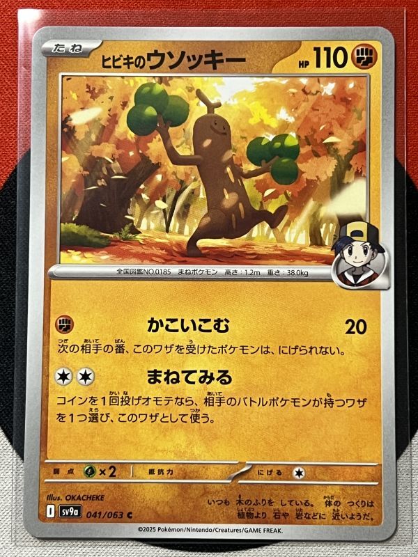 Yahoo!オークション - 【送料85円～】 ヒビキのウソッキー C sv9a 熱風...