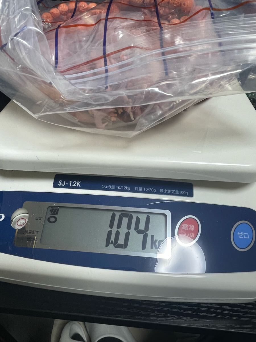 Yahoo!オークション - 『珊瑚大量』1円スタート 1040g 赤珊瑚 血赤珊瑚...