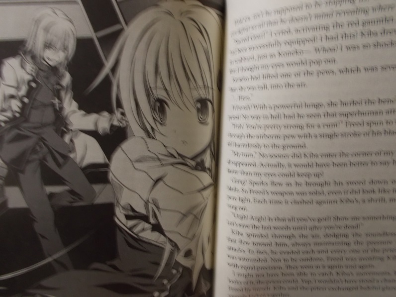 Yahoo!オークション - 海外版[ハイスクールDxD vol.1]石踏一榮.みやま...