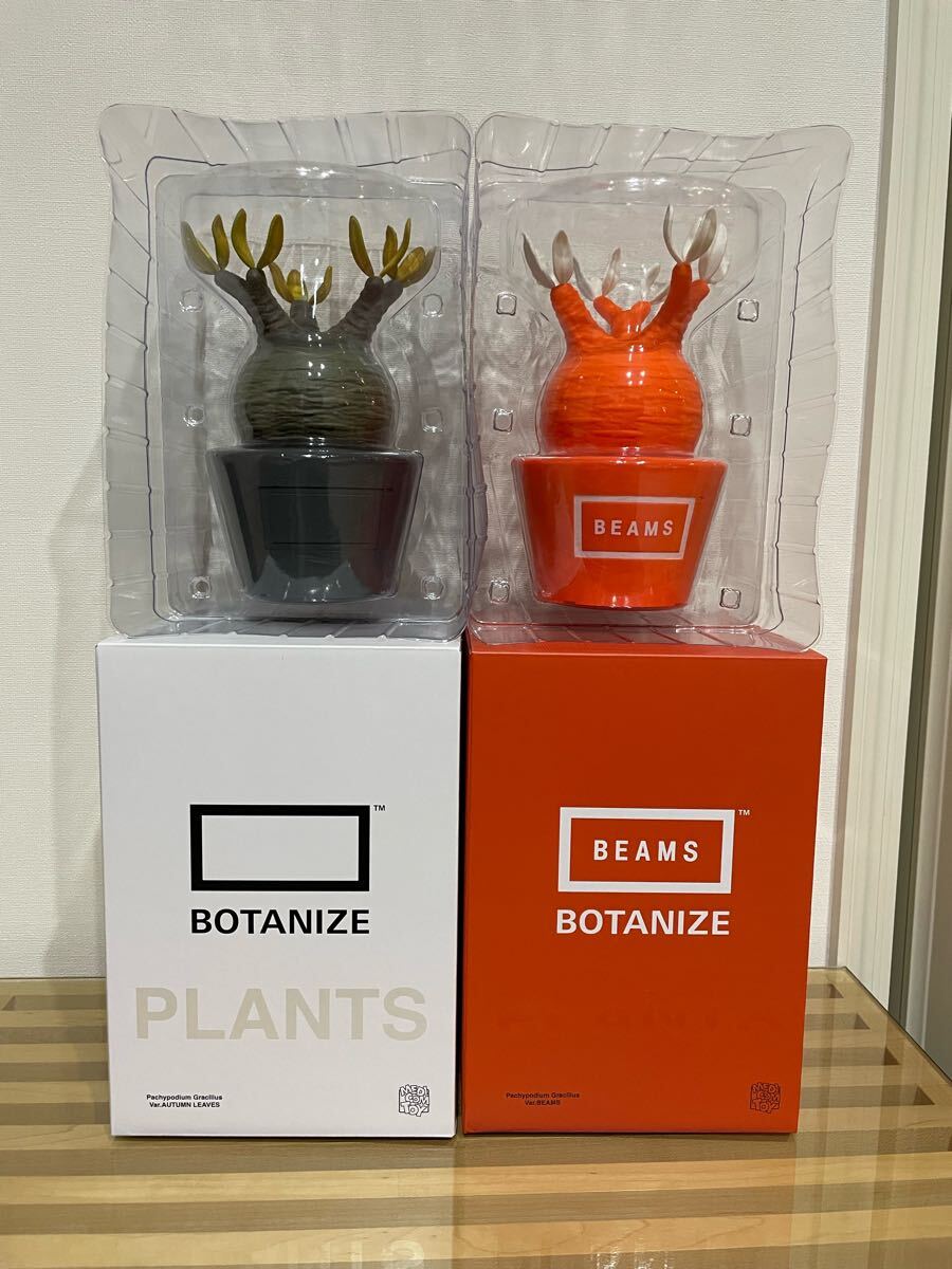 Yahoo!オークション - MEDICOM TOY BOTANIZE gracilius 2色セット メデ...