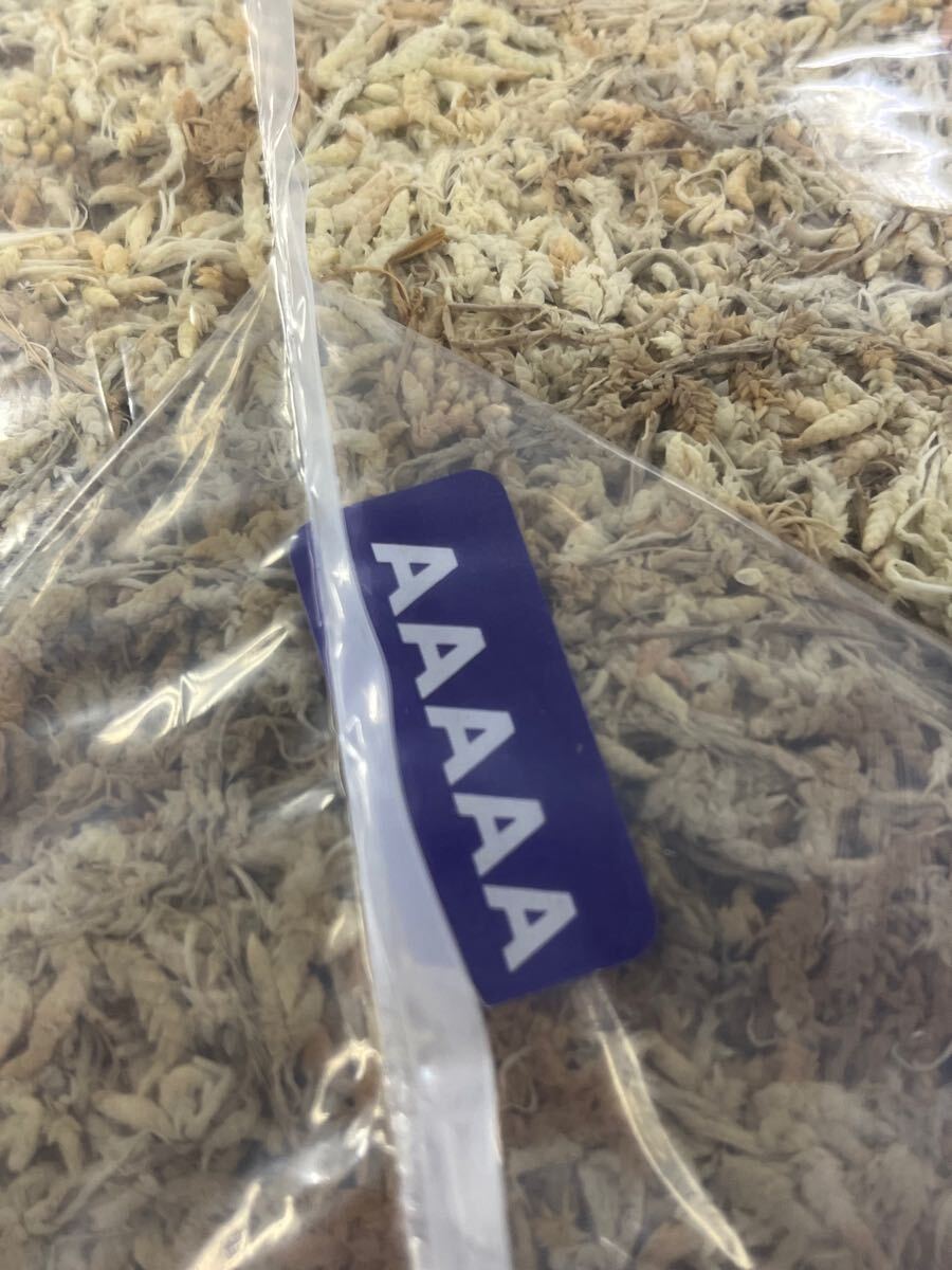 Yahoo!オークション - 水苔 ニュージーランド産 AAAAA 1kg