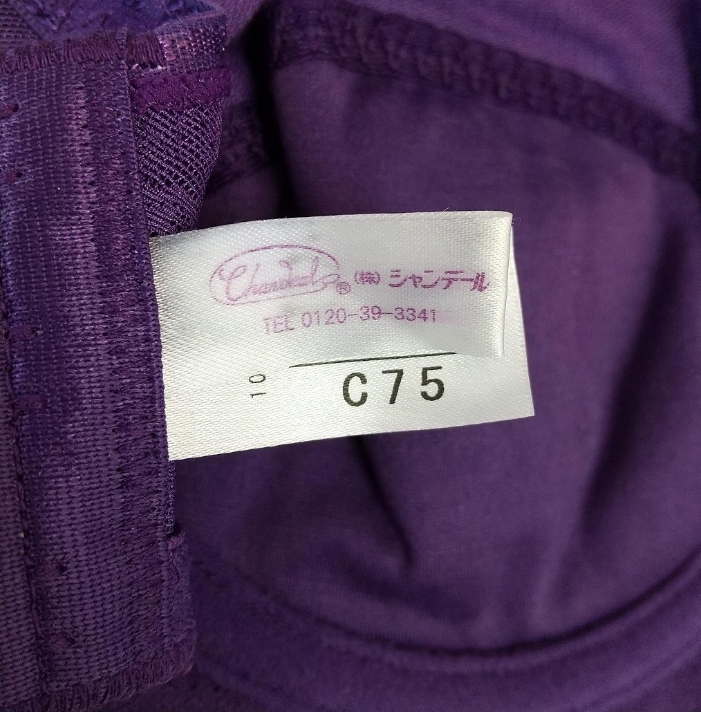 Yahoo!オークション - シャンデール ブラジャー C75 エレガント バイオ...