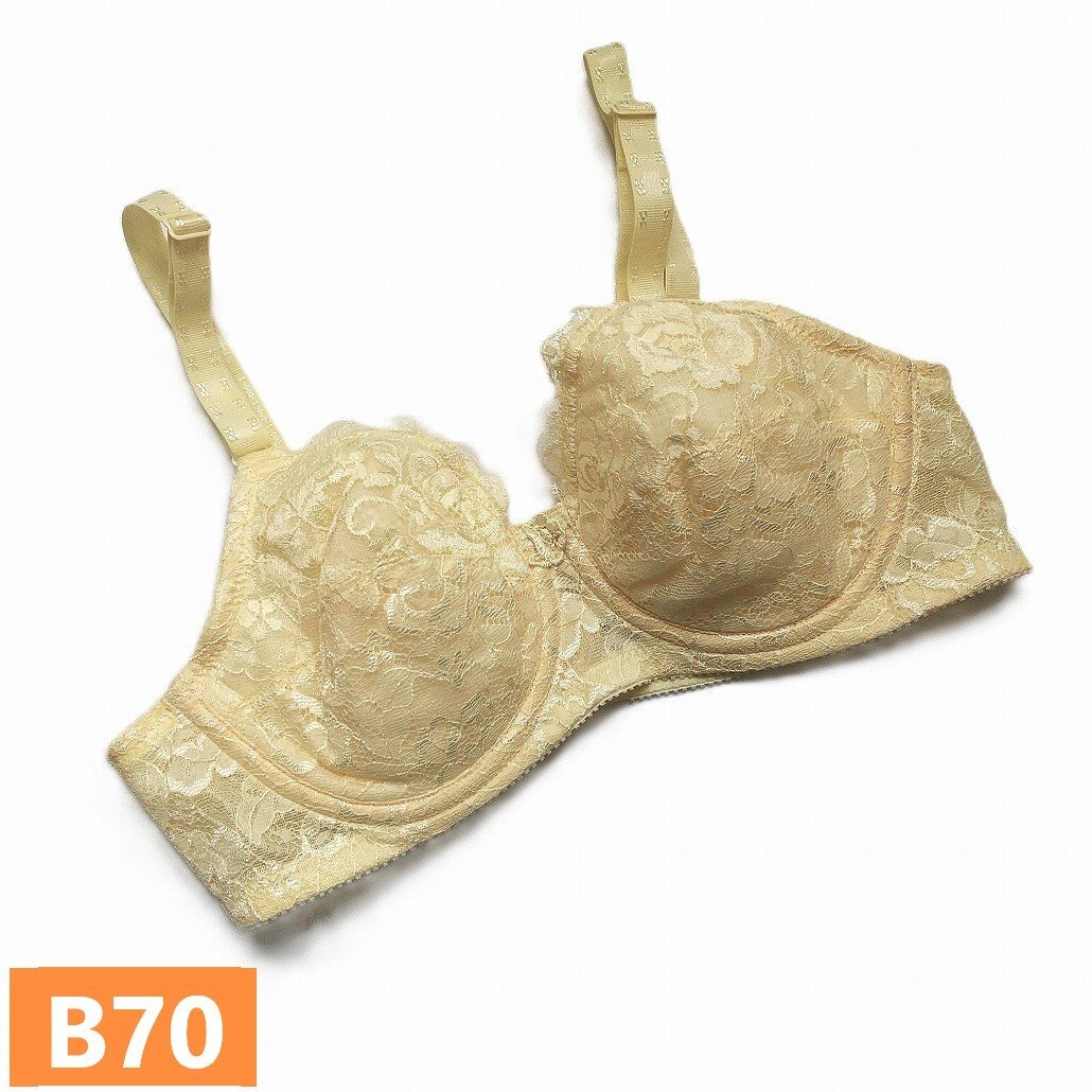 Yahoo!オークション - シャンデール ブラジャー B70 エレガント シャン...