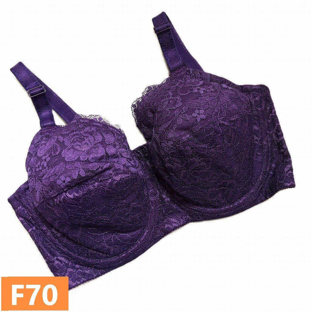 Yahoo!オークション - シャンデール ブラジャー F70 エレガント バイオ...