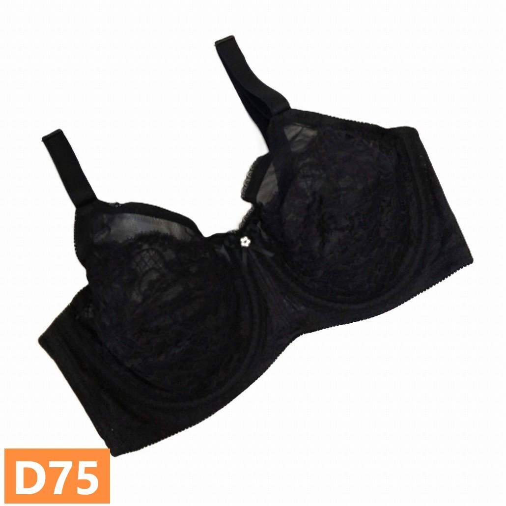 Yahoo!オークション - シャンデール ブラジャー D75 ブラック 黒 新品...