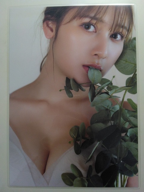 Yahoo!オークション - A253《切り抜き》【真島なおみ・アンジェラ芽衣 ...