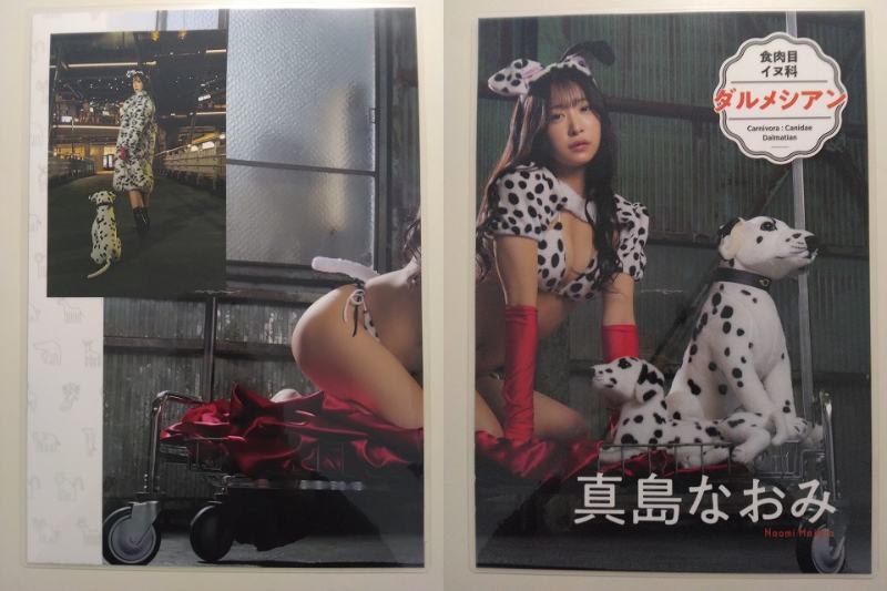 Yahoo!オークション - A253《切り抜き》【真島なおみ・アンジェラ芽衣 ...