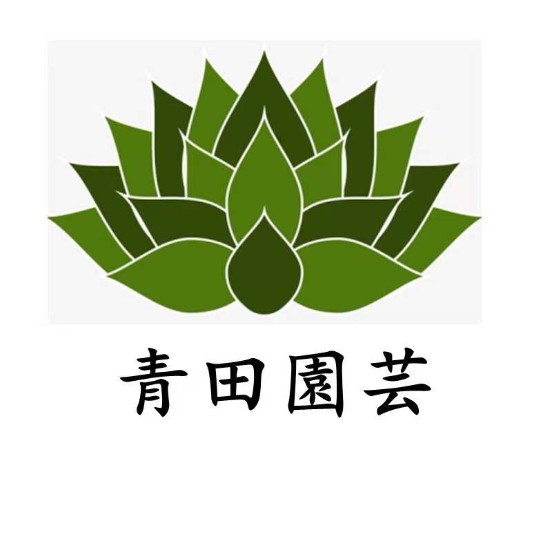 Yahoo!オークション - N8 2199 CD34 1580 AO48 1700 AO51 3300 専用