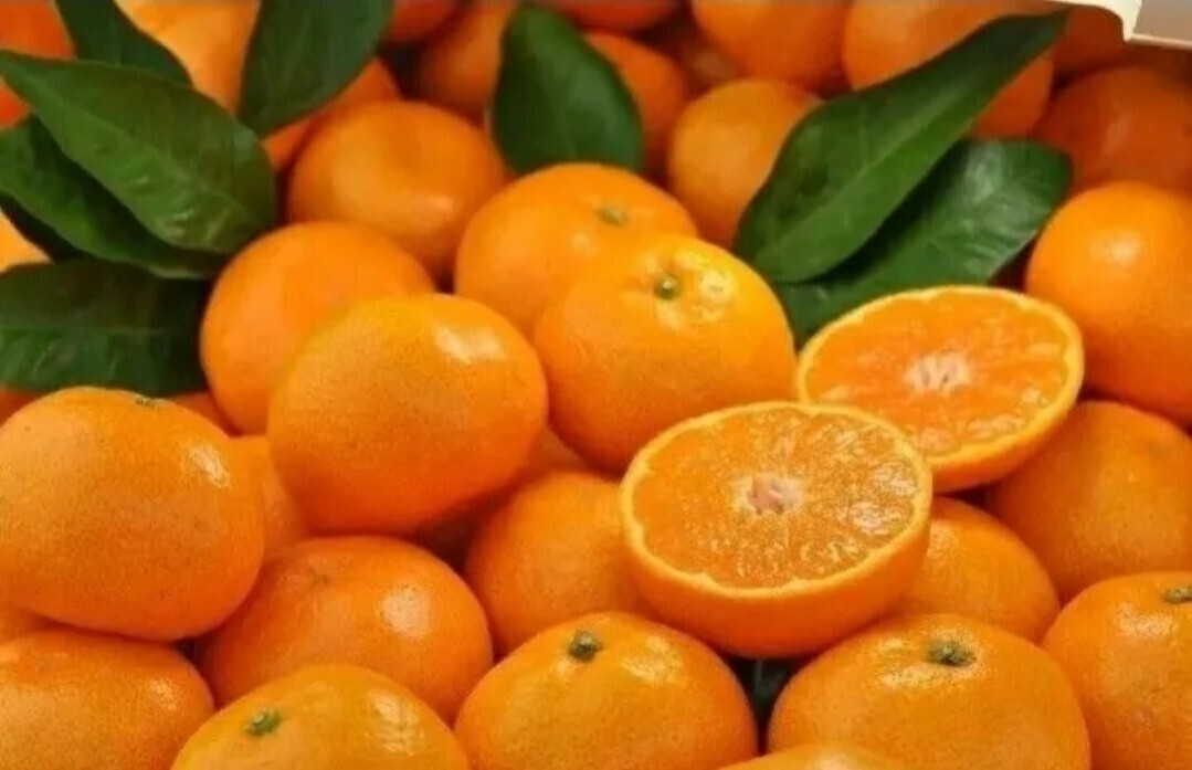 Yahoo!オークション - 福岡産 山川マイルド130みかん 2s.sサイズ 3kg ...