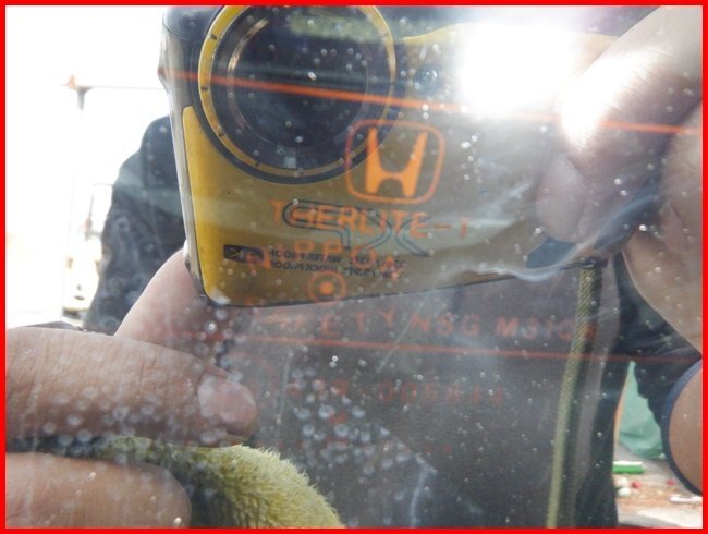 Yahoo!オークション - フリード+ GB7 バックドア リアゲート 管理番号 ...