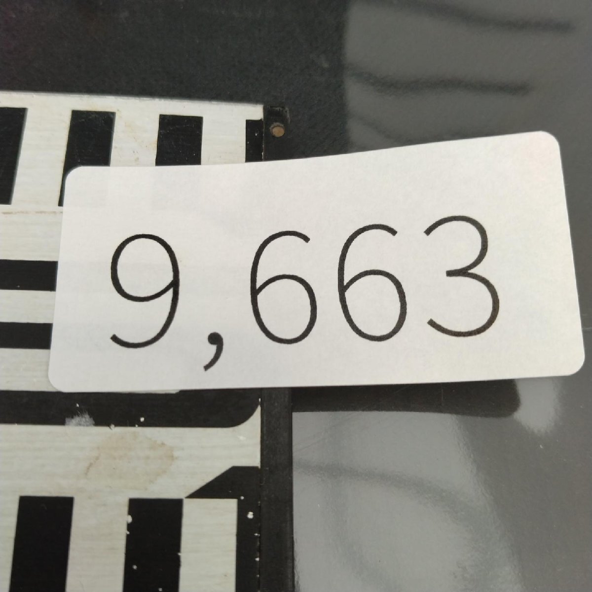 Yahoo!オークション - 9663 「塊根植物」パキポディウム グラキリス S ...