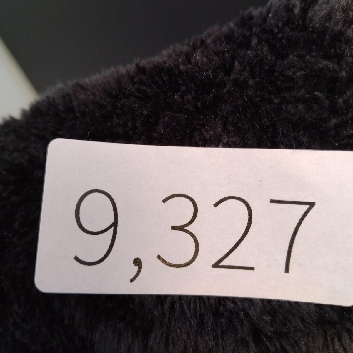 Yahoo!オークション - 9327 「多肉植物」アガベ ギガンテンシス【発根...