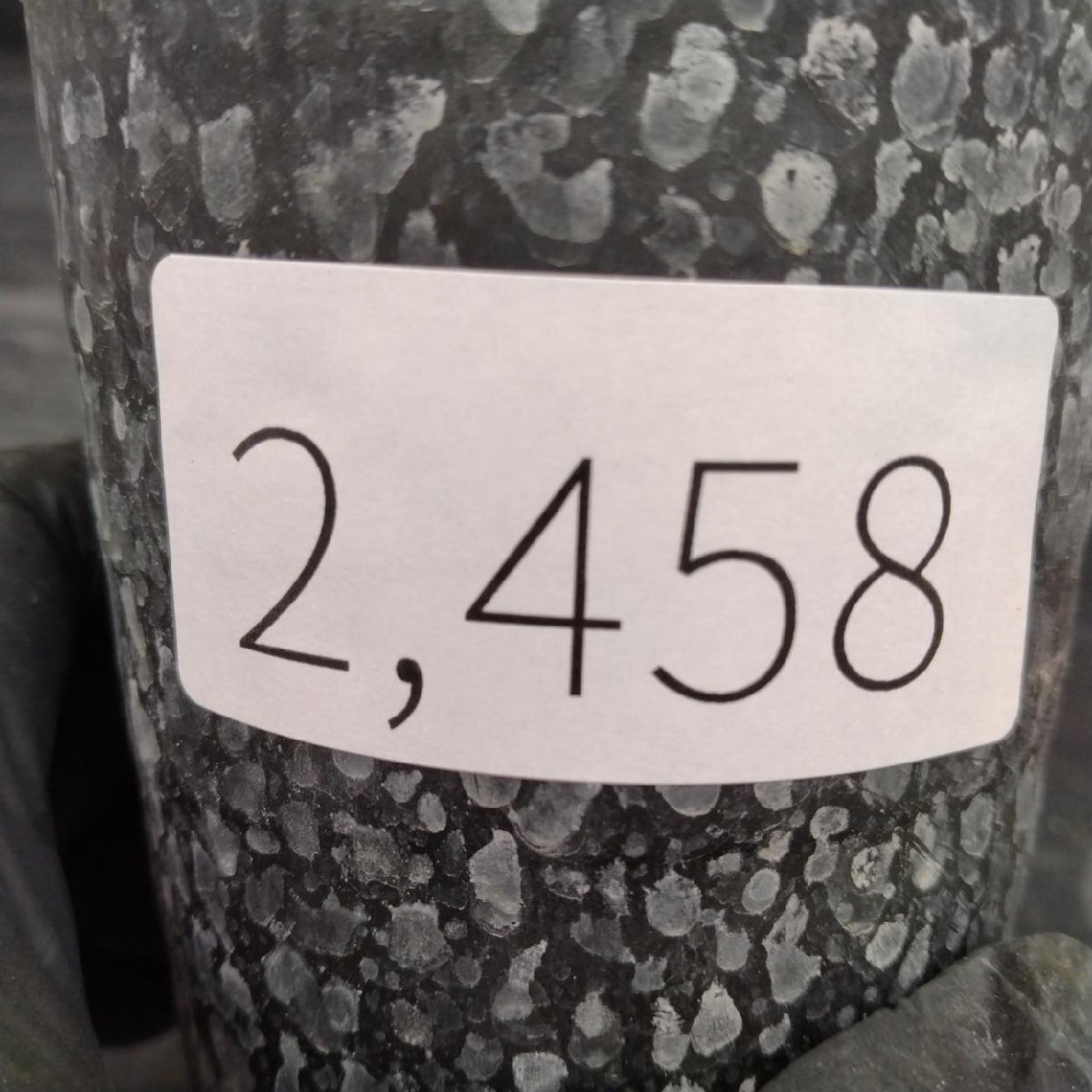 Yahoo!オークション - 2458 「実生」ユーフォルビア イネルミス 【塊根...