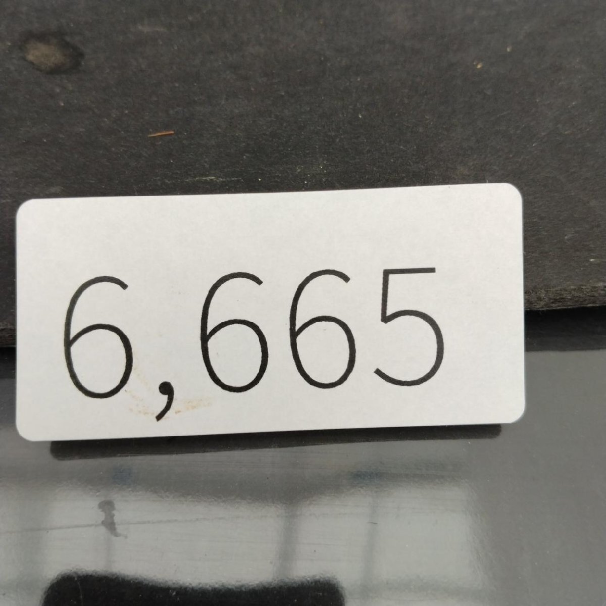 Yahoo!オークション - 6665 「塊根植物」パキポディウム グラキリスM ...