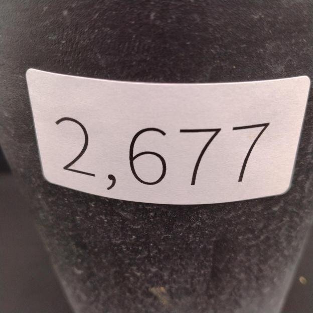 Yahoo!オークション - 2677 「多肉植物」ユーフォルビア ギラウミニア...